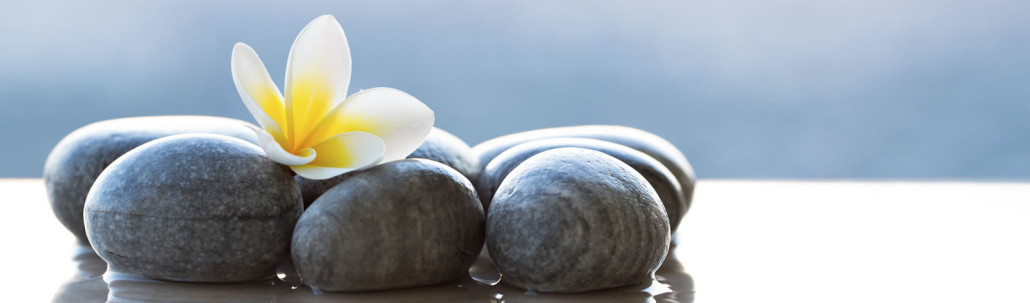 Northwest Calgary Naturopathic Medicine, Dr. Ramona Charikar